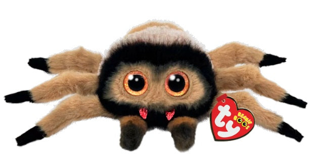 Godfrey Spider Beanie Boo – Hobby Express Inc.