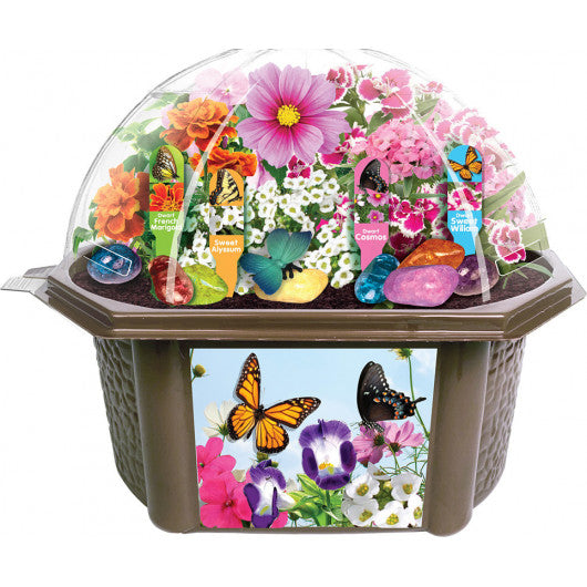 Bountiful Butterfly Garden Biosphere – Hobby Express Inc.
